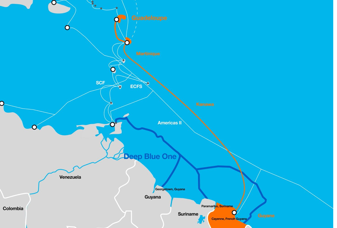 Deep Blue One submarine cable, a partnership model with different ...